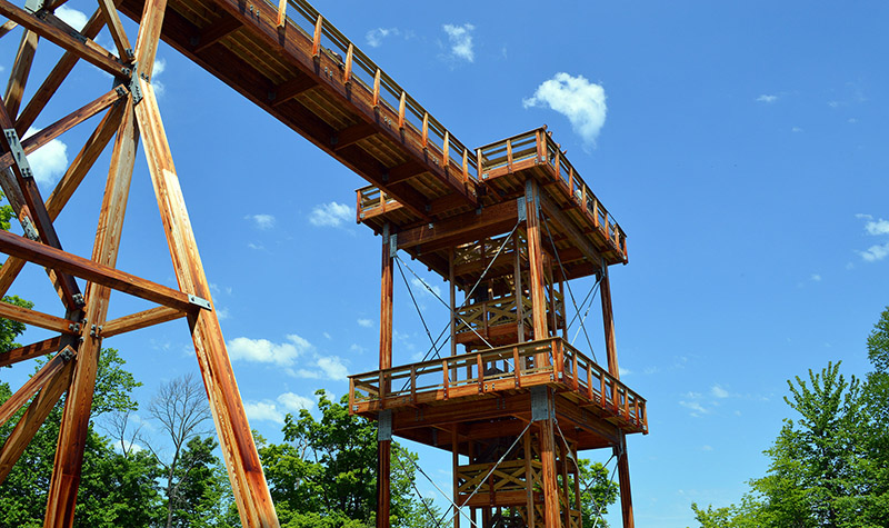 Eagle Tower Replacement - Structural Design & Analysis - Ayres