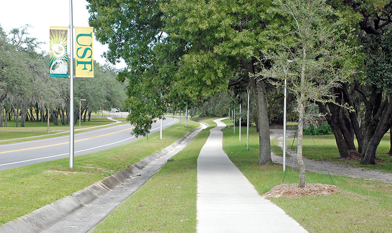 Holly Drive and 50th Street - Roadway Design - Ayres