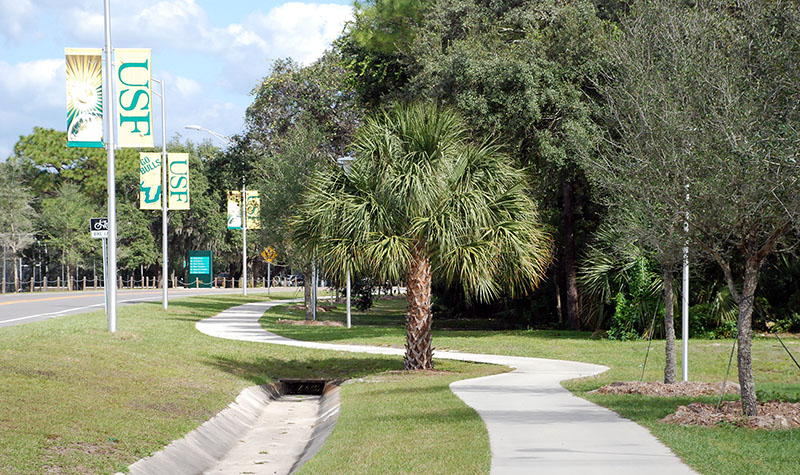 Holly Drive and 50th Street - Roadway Design - Ayres