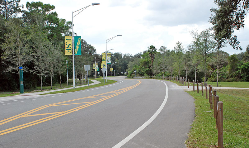Holly Drive and 50th Street - Roadway Design - Ayres