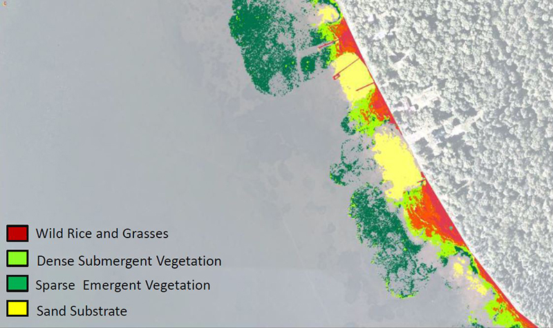Tribal Wild Rice Mapping - Geospatial - Ayres