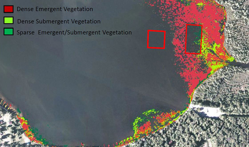 Tribal Wild Rice Mapping - Geospatial - Ayres