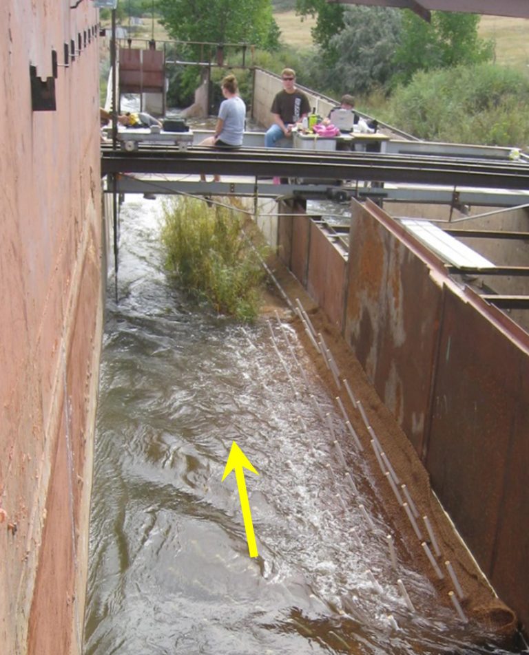 Webinar Examines Streambank Stabilization - Ayres