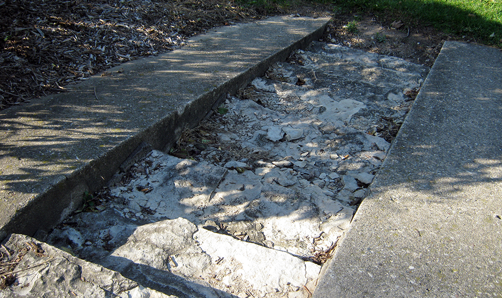 Park improvements that won’t bust your community’s budget - Ayres